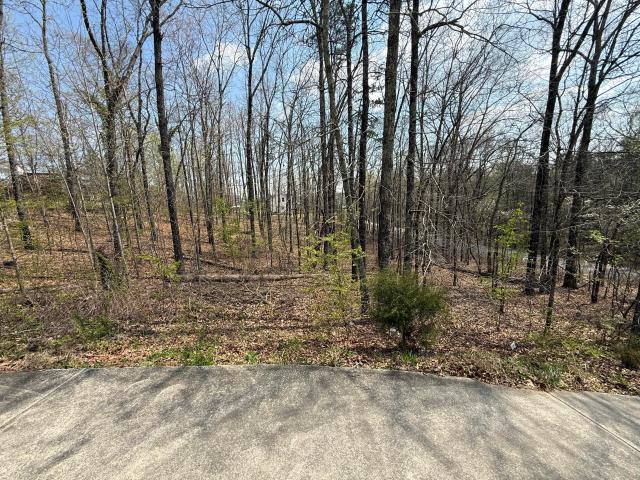 193 Highwater Rd, Soddy Daisy, TN 37379 | MLS #1531
