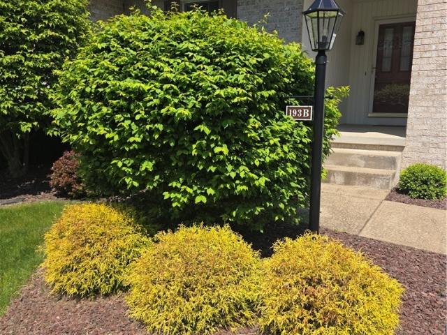 193 Mathews Road