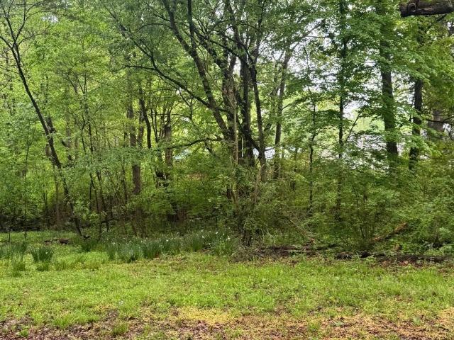 193 Whitaker St, Camden, TN 38320 | MLS #3130
