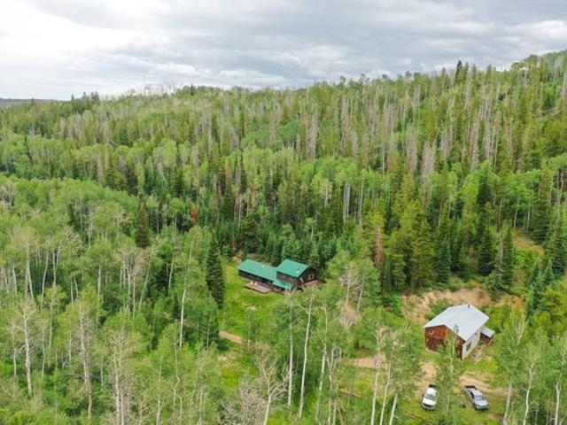 19455 County Road 29, Oak Creek, CO 80467