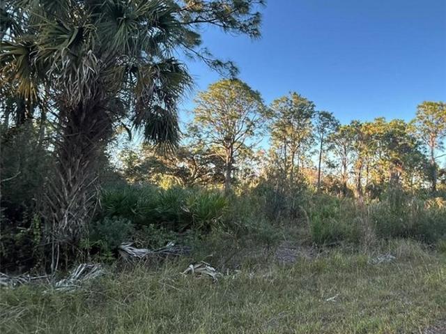 1945 Roderick Ln Lot 6, Lehigh Acres, FL 33972