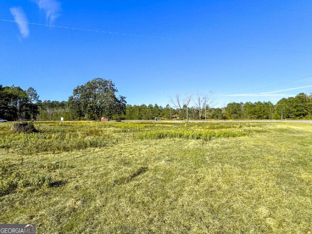 19477 Highway 80, Statesboro, GA 30461 | MLS #10790