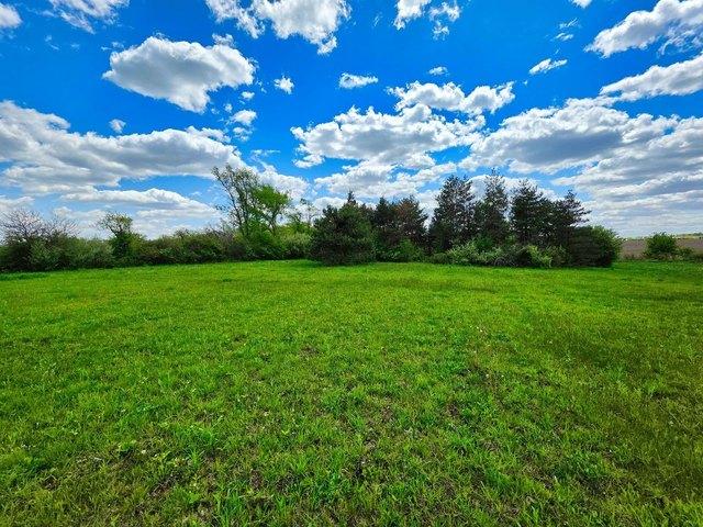 1947 E Steger Rd, Crete, IL 60417