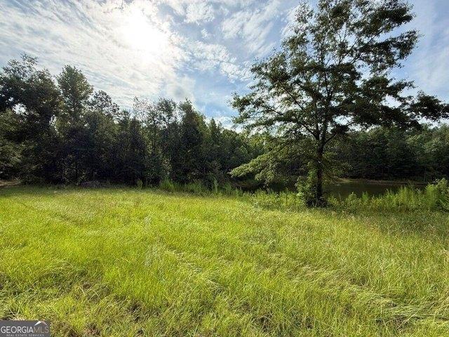 1940 Liberty Church Rd, Hephzibah, GA 30815