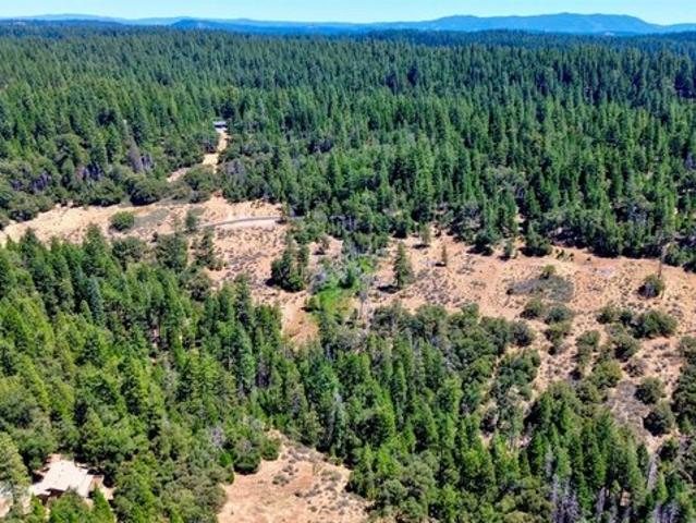 19421 Ponderosa Dr, Pioneer, CA 95666