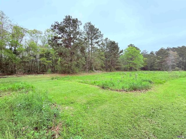 19425 Grantham Rd, Livingston, LA 70754 | MLS #BR2026004