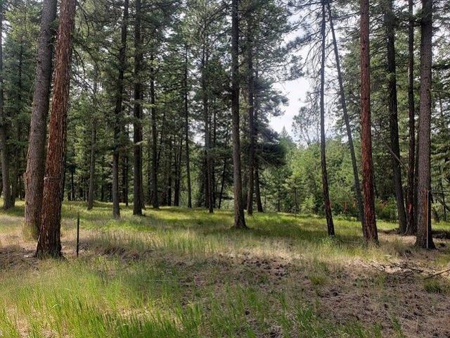 19425 Pond Rd, Frenchtown, MT 59834