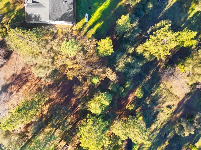 19426 Ferretti Rd, Groveland, CA 95321 | MLS #41119
