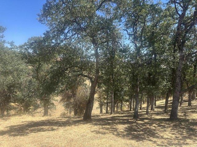 19432 Little Valley Dr, Cottonwood, CA 96022