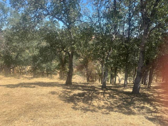 19432 Little Valley Drive