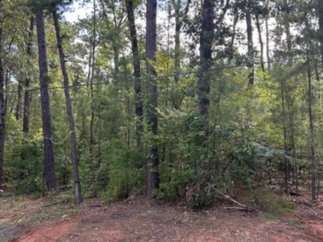 194 County Road 415, Bronson, TX 75930