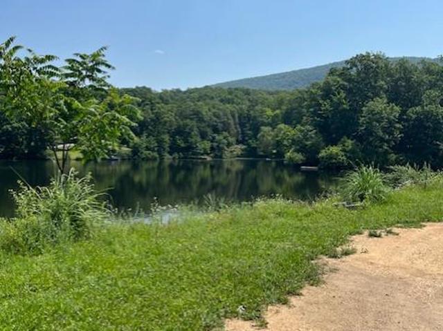 194 Black Bear Trail