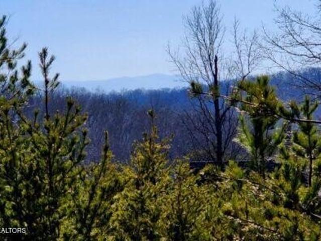 194 Forest Ridge Ln, Greenback, TN 37742