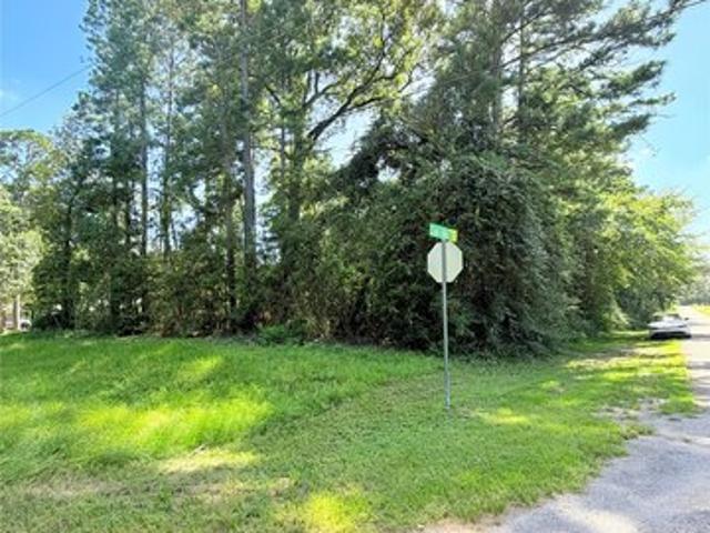 194 Oak Hollow Blvd, Magnolia, TX 77355