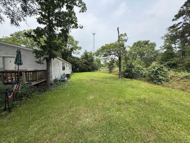 194 Mesquite