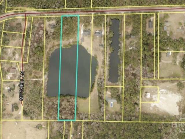 1954 Oak Level Rd, Richmond Hill, GA 31324