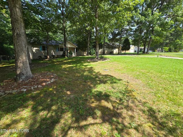 1954 Spruce Loop