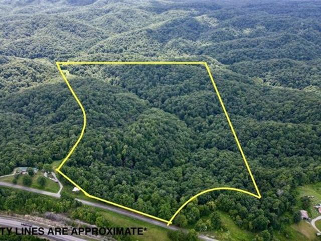 1955 Old 61 Loop Rd, Breeding, KY 42728