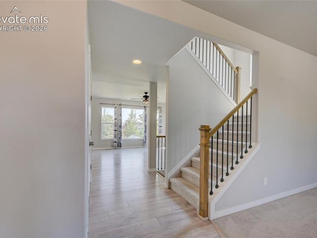 1955 Ruffino Drive