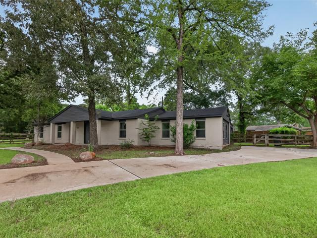 19563 Loafers Lane