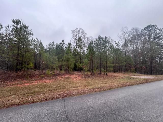 1956 Pineywoods Road