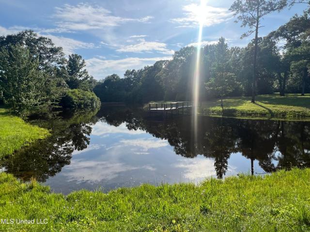 19589 Juniper Dr, Saucier, MS 39574 | MLS #4125 | Compass