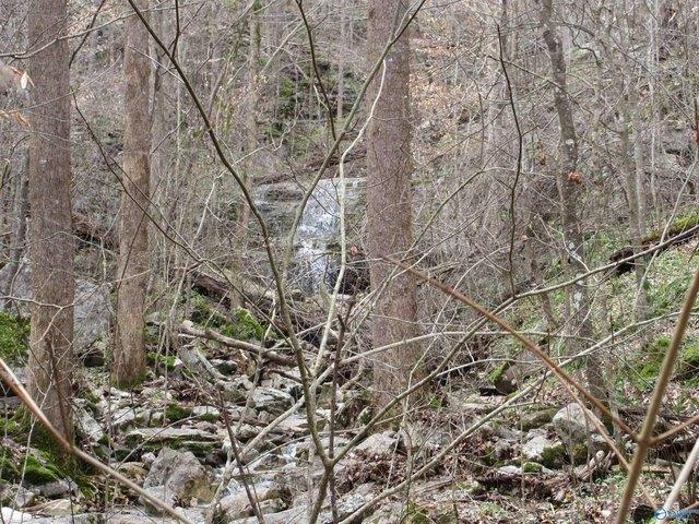 1958 County Road 32, Fackler, AL 35746
