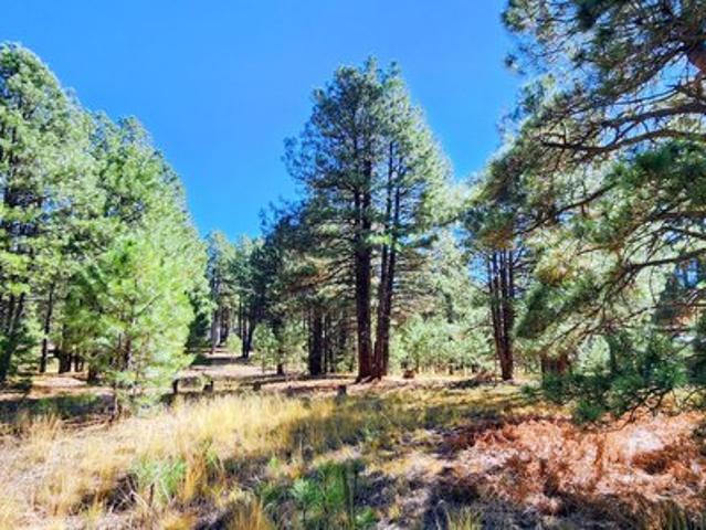 1958 Ferret Cir Unit 260, Forest Lakes, AZ 85931