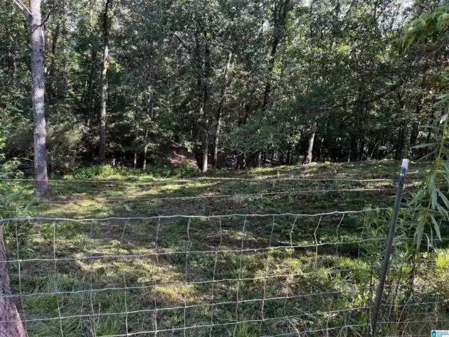 1959 BLUE SKY RD # 0, ADGER, AL 35006 Vacant Land For Sale ML.