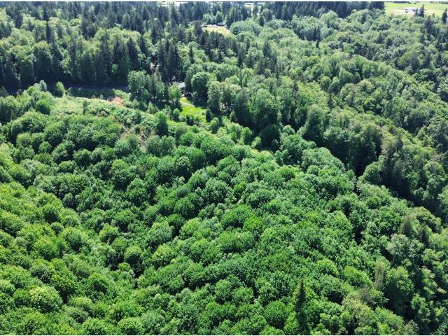 19538 TL Old Rainier Rd