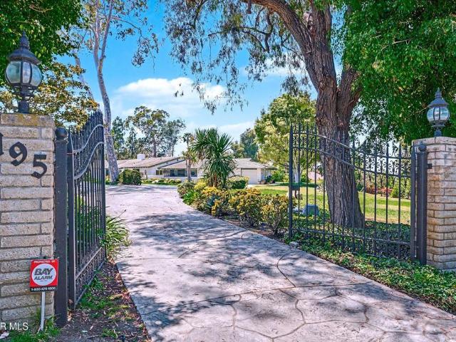 195 Avocado Place