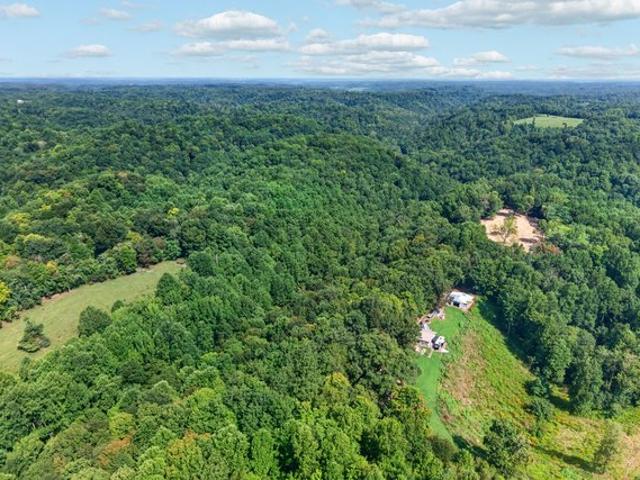 195 Hack Dyer Ln, Bloomington Springs, TN 38545