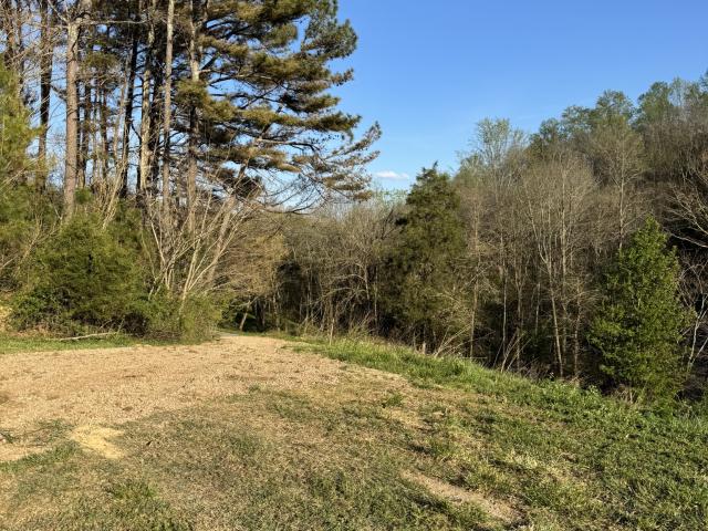 195 Hasty Hollow Rd