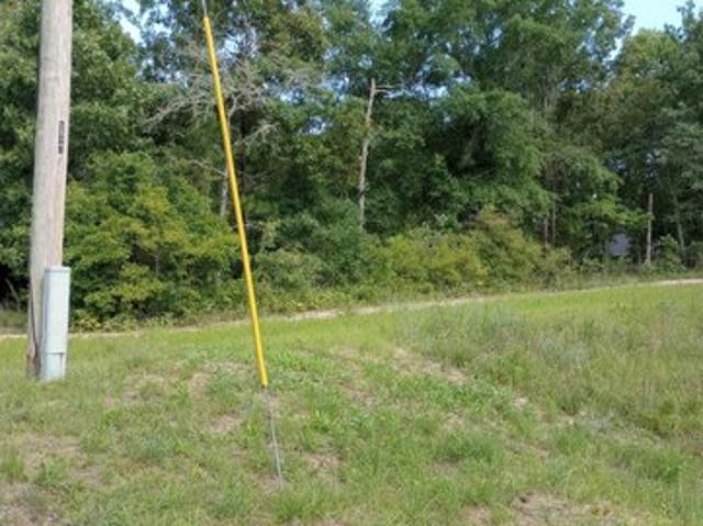 195 Hyram Rd Lot 0, Seale, AL 36875