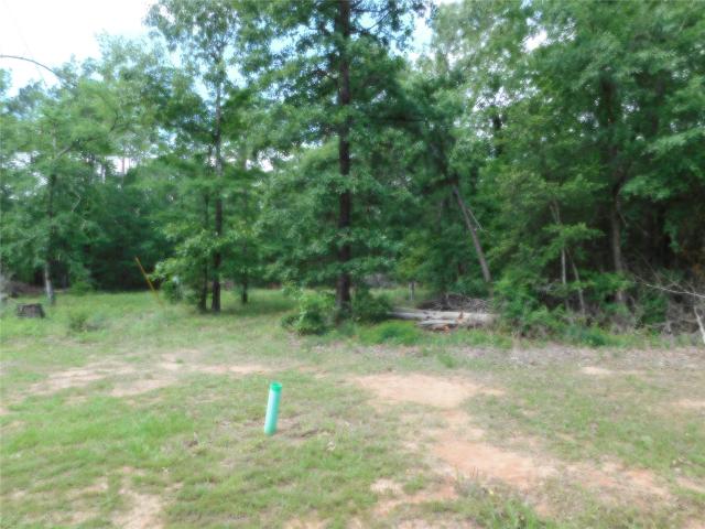 195 Moonlite Drive