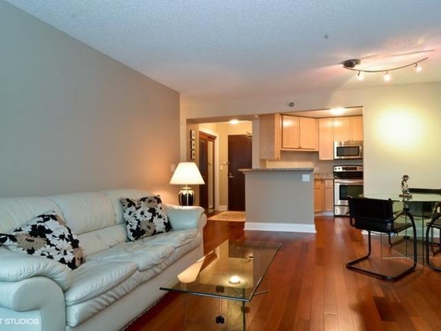 195 N HARBOR Drive # 3207