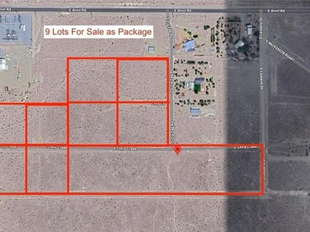 195 S Zig Zag Rd, Amargosa Valley, NV 89020