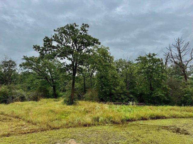 195 Sadie Ln, Round Top, TX 78954