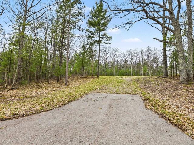 195 Starflower Lane