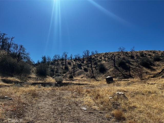 195 Ste/2 Min Bg, Llano, CA 93544 | MLS #JT25174