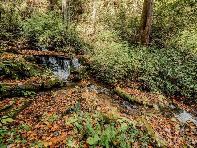 195 Still Waters Lane