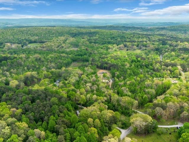 195 Roddy Springs Rd