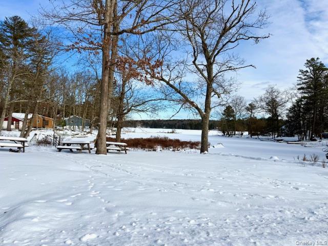 195 W Mohican Trail, Glen Spey, NY 12737 | MLS #947304