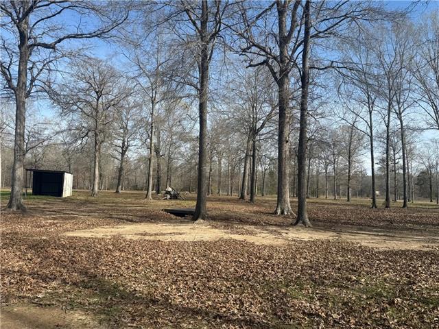 195 Varvarosky Rd, Deville, LA 71328 | MLS #CN2543