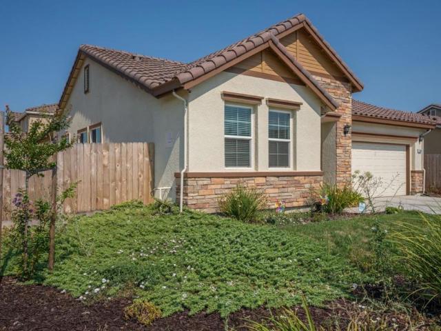 1964 Gus Villalta Drive
