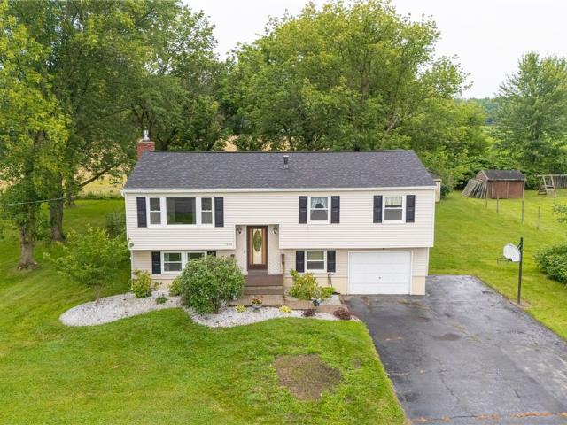 1964 Paddy Ln