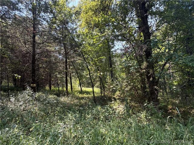 19655 Inlet Road