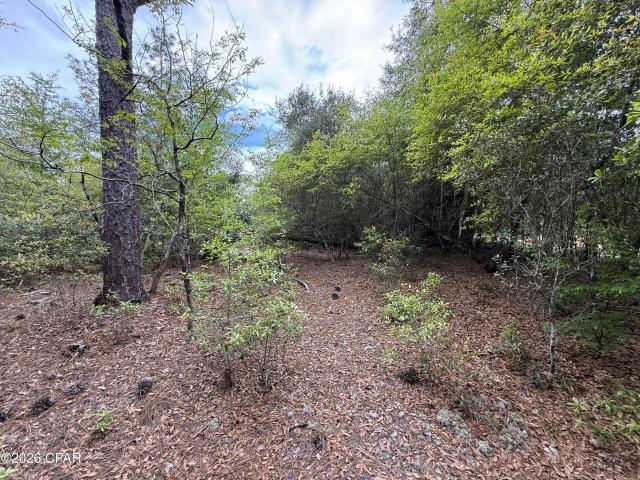 19678 Walsh Rd, Fountain, FL 32438 | MLS #788115 | Compass