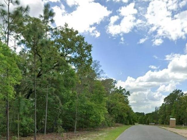 1968 W Shellbark Dr, Citrus Springs, FL 34434