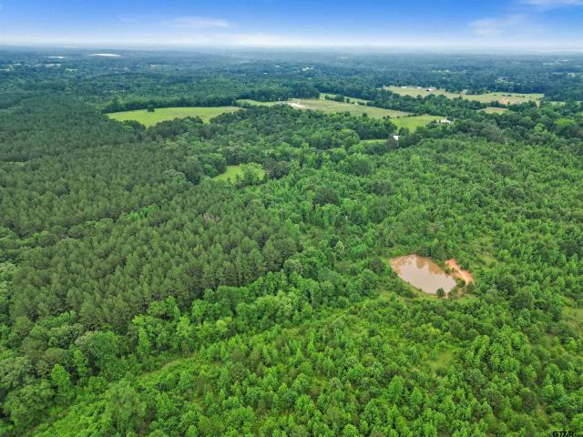 19698 Farm To Market 16 E, Winona, TX 75792 | MLS #24007